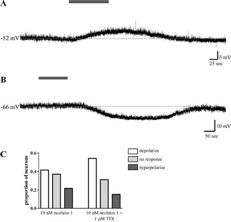 Nesfatin 1 Mediated Effects On Mnts Neurons Are Maintained In The