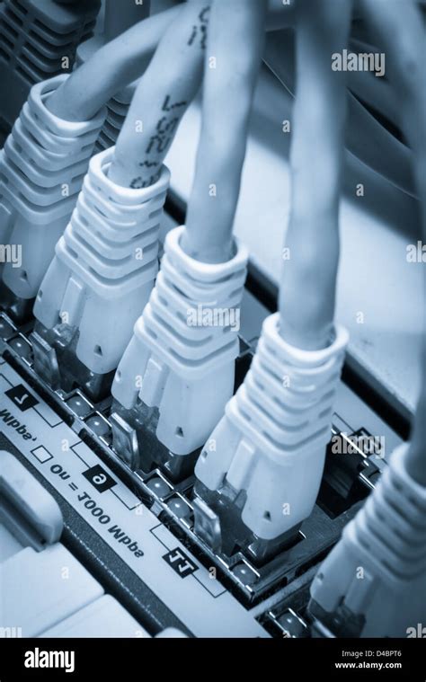 Close Up Of Network Hub And Ethernet Cables Stock Photo Alamy
