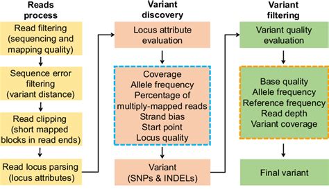 Workflow Of Variant Identification Based On Sequence Alignment