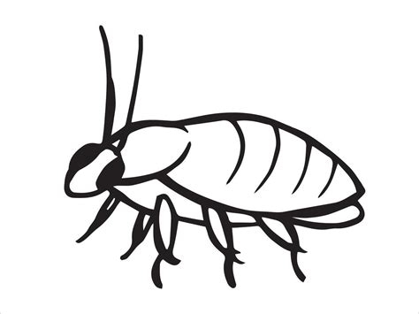 Insect Cockroach Sketch Style Illustration 59289299 Vector Art At
