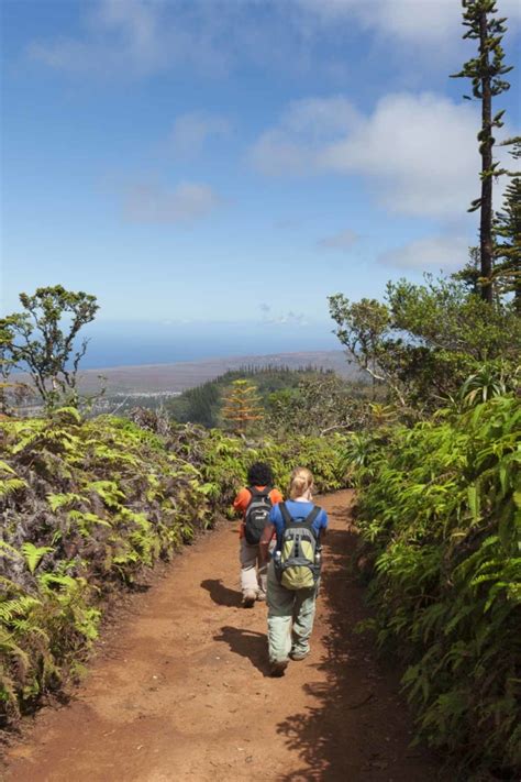 17 Best Hikes In Hawaii You Have To Try In Your Life The Planet D