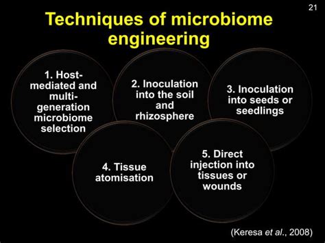 Ajayasree T S Seminar Ppt Microbiome Engineering Pptx