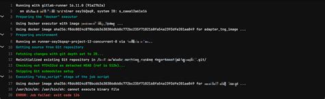 Running Ci With Conda And Docker Failed Gitlab Cicd Gitlab Forum