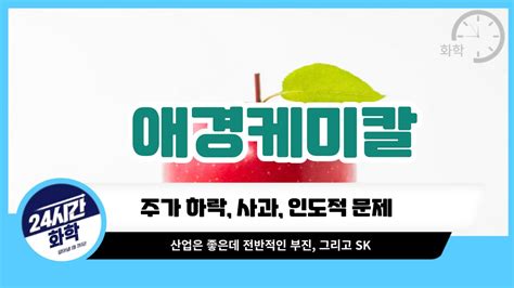 애경케미칼주가전망 지속된 하락과 유죄 판결 테슬라의 주가하락 전반적인 전기차 시장 악화 Youtube