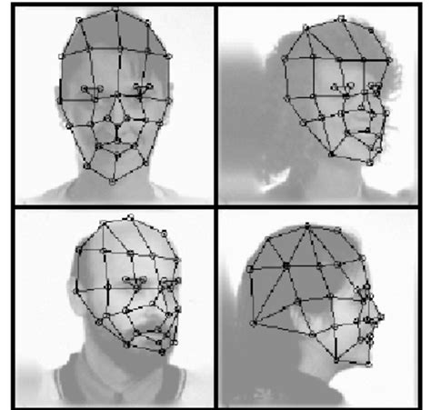 Grids For Face Recognition 61 ©1999 Ieee Download Scientific Diagram
