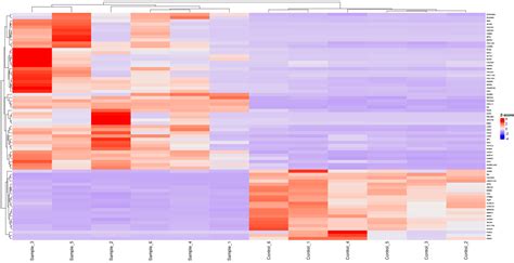 github suechear rnaseq pipeline