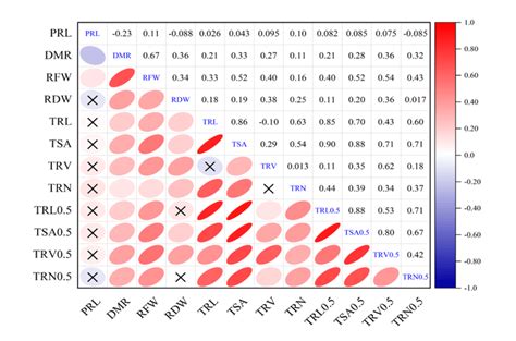 Correlation Analyses Between Root Related Traits The Plots On The Download Scientific Diagram