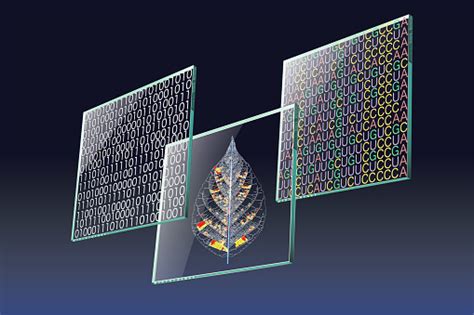 유전 공학 및 Dna 마이크로 어레이의 이미지 이진 코드 및 정 맥 및 Mrna 염기 코드는 투명 웨이퍼 스크린 상에 표시 된다 5g에 대한 스톡 사진 및 기타 이미지