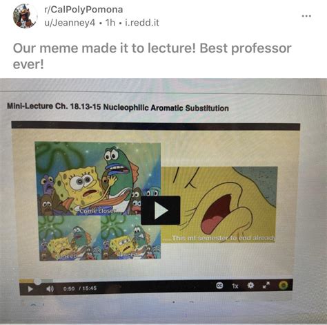 Mom Dad My Memes Made It R Calpolypomona