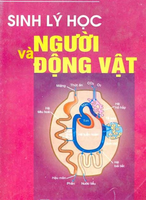SOLUTION: giao trinh sinh ly hoc nguoi va dong vat pgs ts nguyen duc hung - Studypool