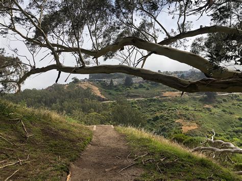 Part 1 Of 2 Using The Bellman Ford Algorithm To Find Arbitrage Opportunities In Runescape By