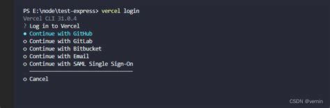 如何将express项目部署到vercel vercel部署express csdn博客