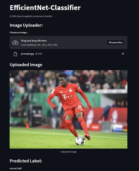 Github Karimibrahim11efficientnet Pretrained Classifier Basic Use