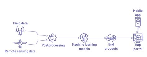 Treequant Opegieka Treequant Opegieka