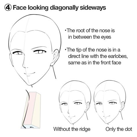 For Beginners This Is Actually A Crucial Part Review The Techniques For Drawing Noses