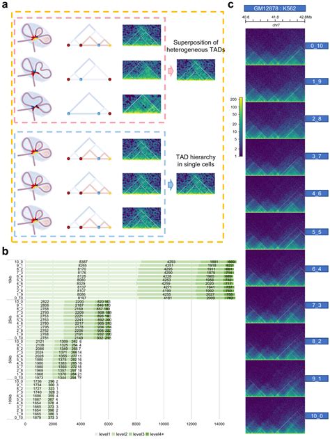 A Comprehensive Benchmarking With Interpretation And Operational Guidance For The Hierarchy Of