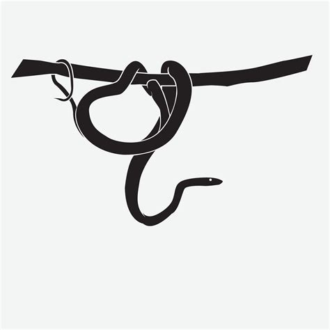 Snake Vector Png 29489831 Vector Art At Vecteezy