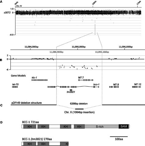 bcc 1 is a suppressor of rol 3 a log2 normalized acgh data for