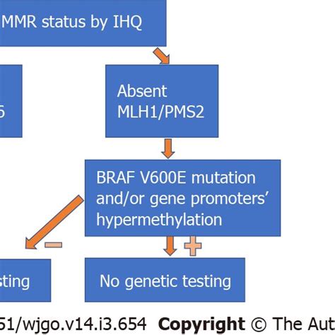 Algorithm For Selection Of Patients For Genetic Testing Mismatch Download Scientific Diagram