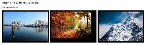 Html Layout Using Flexbox Notesformsc
