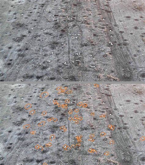 Олександр Аронець Aronets Twitter