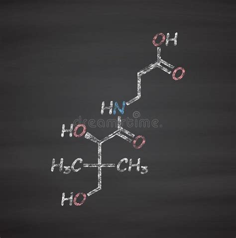 Vitamin B Pantothenic Acid Molecular Chemical Formula Infographics Vector Illustration On