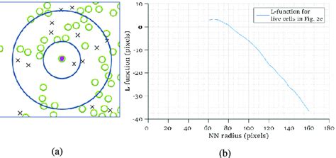 Spatial Pattern Analysis Process For Sample Images Captured From Folfox