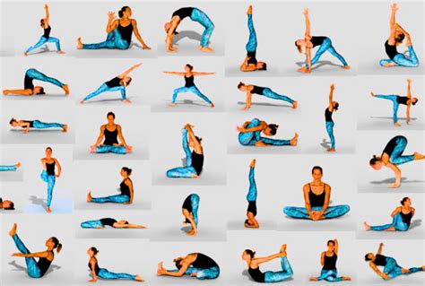 Types Of Yoga Poses A Comprehensive Guide Benefits