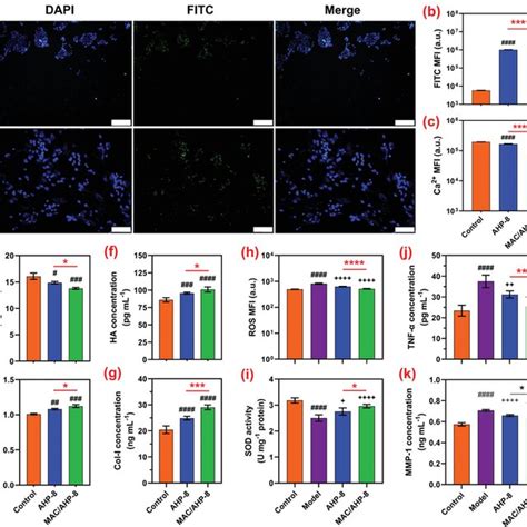 Enhanced Skin Permeation Of AntiAging Peptides Using Bioactive Ionic Liquids At Low