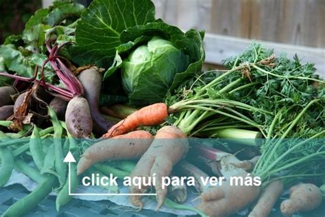 Estos Son Los 12 Alimentos Más Contaminados De 2016 Pomelo Cabbage