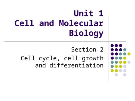 Ppt Unit 1 Cell And Molecular Biology Section 2 Cell Cycle Cell