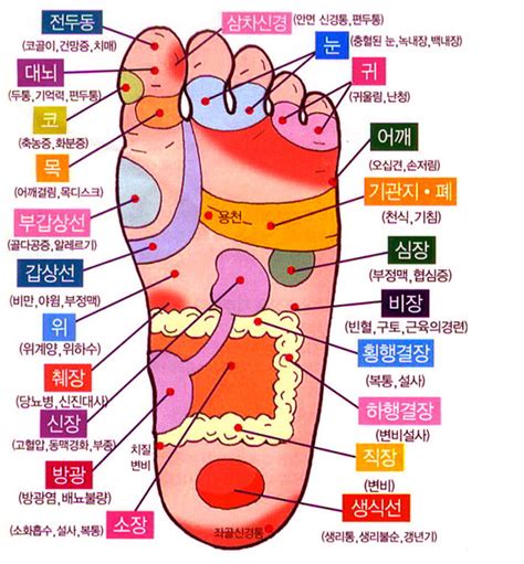 남자를 위한 발 마사지법 지압 발 건강 건강