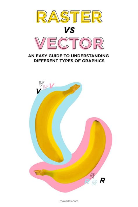 Vector Vs Raster Graphics Easy Guide To Understanding The Difference Raster Vs Vector Raster