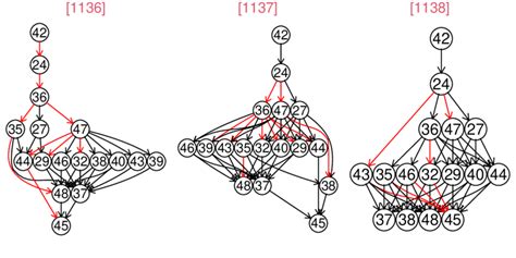 consensus partial orders for the years 1136 1138 a selection from the