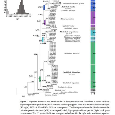 bayesia inference tree based on the coi sequence dataset download