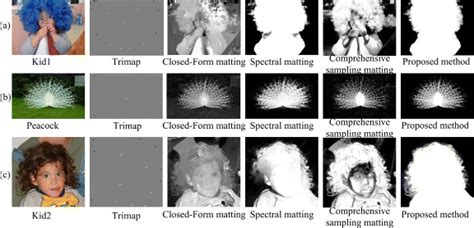 Comparison With Other Matting Methods Download Scientific Diagram
