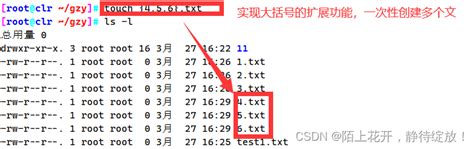 【linux】初见“du命令”，“mkdir命令”，touch命令“，“ln命令” 建立软链接 mkdir csdn博客