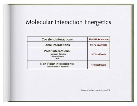 Relative Energetics Of Interactions