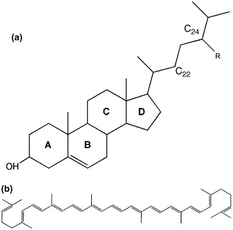 Chemical Structures Of A Various Phytosterols And B Lycopene C 40