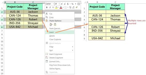 04 Ways How To Insert Multiple Rowscolumnscells In Excel