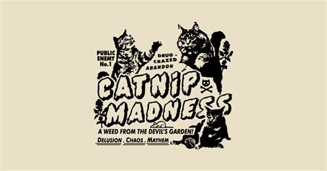 Catnip Madness Cute Cat Catnip Madness Cute Cat T Shirt Teepublic Catnip Madness Cute Cat Catnip Madness Cute Cat T Shirt Teepublic