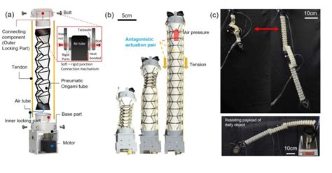 Deployable Soft Origami Modular Robotic Arm With Variable Stiffness