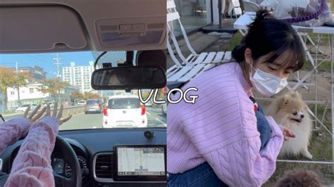 Vlog 간만에 기장 드라이브 • 자동차 완벽적응한 코코 • 첫 애견카페 • 코코보다 엄마가 더 신남👻 Youtube