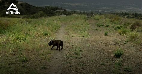 You Yangs And Lerderderg List Alltrails