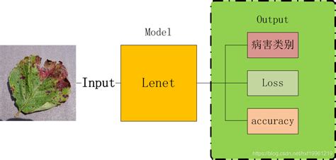 基于lenet的农业病害图像识别基于改进 Lenet 5 模型的玉米病害识别创新点在哪 Csdn博客