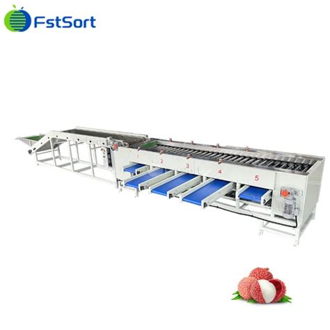 Fstsort Fruit Classification Fruit Weight Packing System Fruit