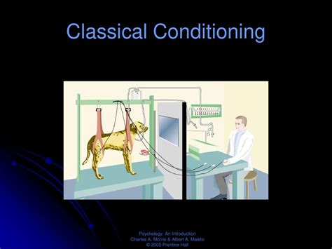 PSY 2012 L.A. Siegel, MA, CSE, AASECT - ppt download