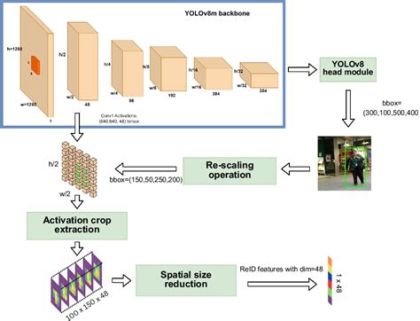 Lite A Paradigm Shift In Multi Object Tracking With Efficient Reid Feature Integration