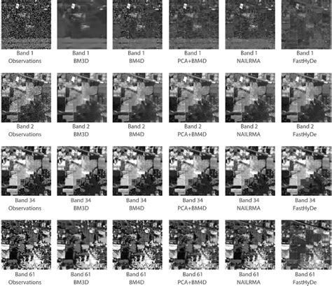 Figure From Fast Hyperspectral Image Denoising And Inpainting Based On Low Rank And Sparse