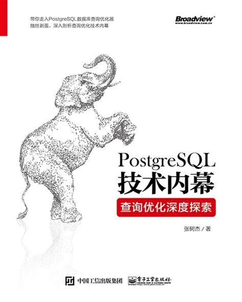 Postgresql技术内幕：查询优化深度探索 图书 博文视点